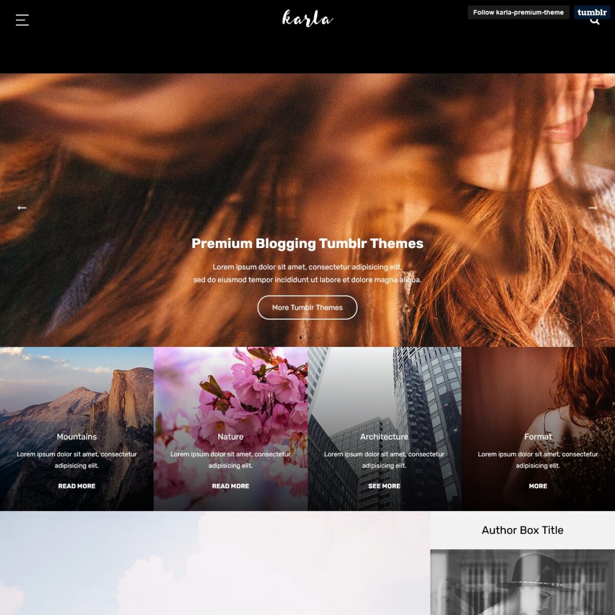 25+ Best Free & Premium Tumblr Themes - Webprecis