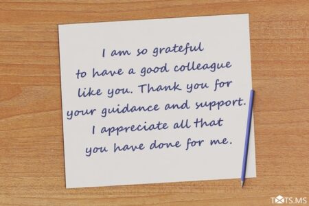 Thank You Messages For Colleagues - Webprecis