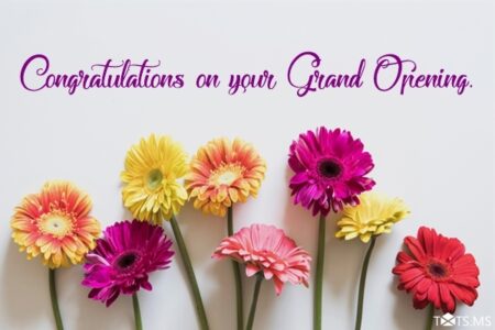 Congratulations Messages For Grand Opening Business - Webprecis