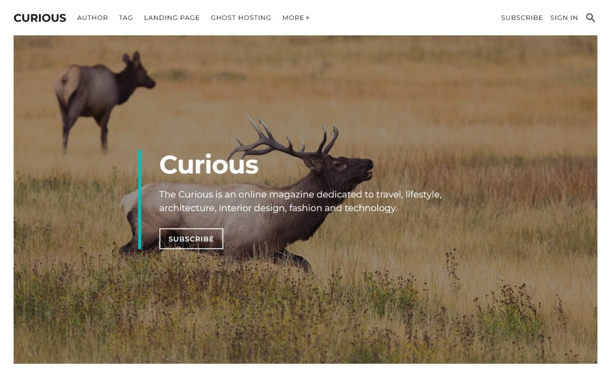10 Best Responsive Ghost Themes - Webprecis